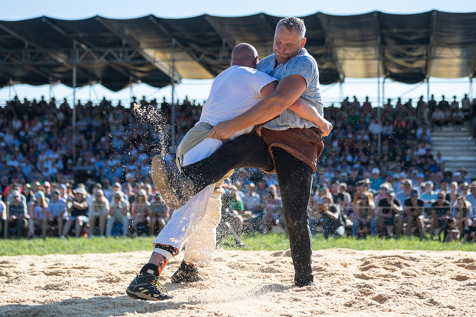 SCHWINGER DER WOCHE: Kalenderwoche 26: Interview Arnold Forrer ...