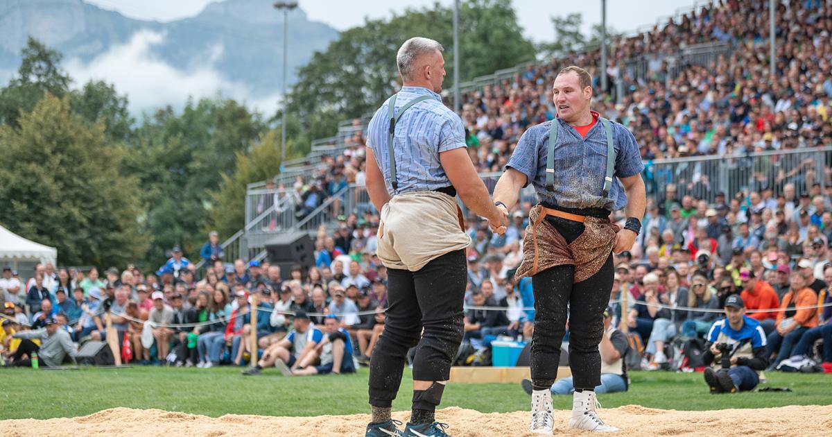 s'Vierteli zur Saison 2024: So viel stellen die Schwinger wirklich ...